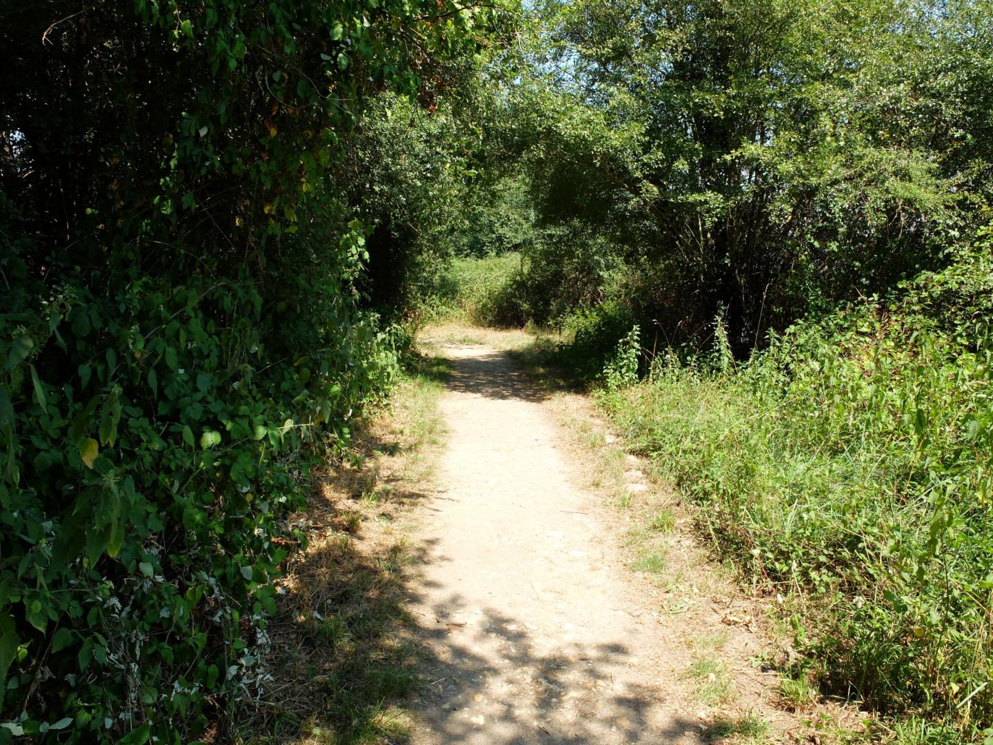 La Réserve Naturelle Nationale de Chérine à Saint-Michel-en-Brenne ...